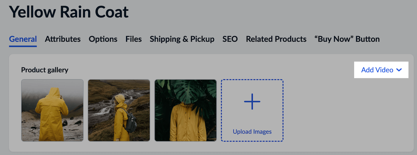Guide sur les détails des produits dans eCom Lightspeed (série E ...
